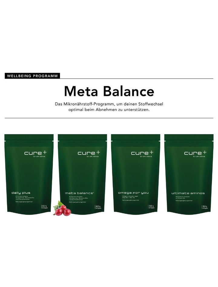 Meta Balance – Evolution of Wellbeing